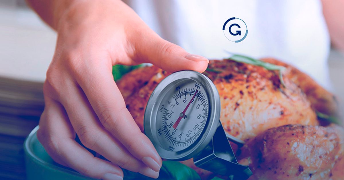 Temperature measurement is a critically important key to food safety