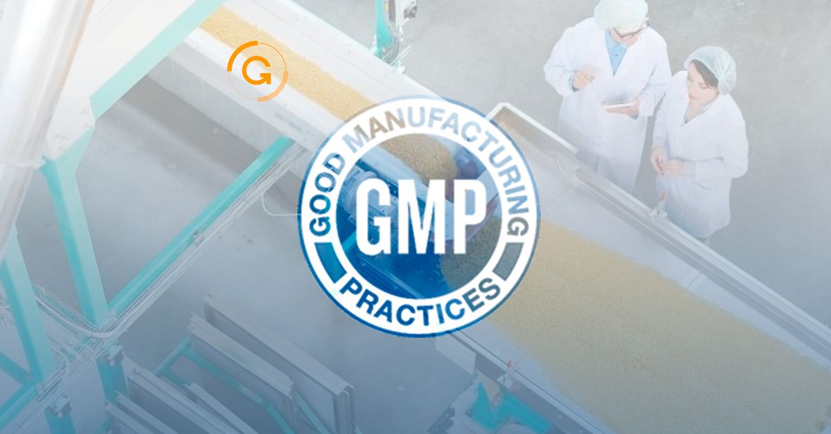 The Power of GMP: Ensuring Food Safety